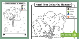 FREE! - Autumn Tree Colour By Number (teacher made) - Twinkl