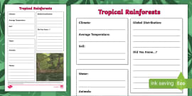 Rainforest Fact File Template (teacher made) - Twinkl
