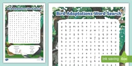 Bird Feet Adaptations (Hecho por educadores) - Twinkl