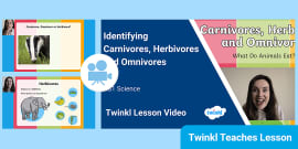 African Animals Omnivor Carnivore or Herbivore Venn Diagram Sorting ...