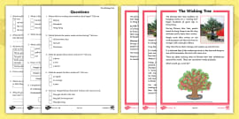 Chinese New Year Reading Comprehension - KS2 Resource