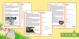 Chicken Life Cycle Differentiated Reading Comprehension Activity