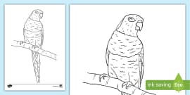 FREE! - Pause Button Icon Colouring | Colouring Sheets