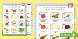 👉 Number Scavenger Hunt (teacher made) - Twinkl