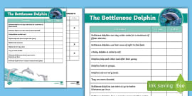 Bottlenose Dolphins Facts True or False Worksheet - Twinkl