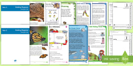 Guided Reading Activities Year 2 | Primary Resource | Twinkl