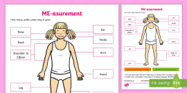 Body Parts Measurement Worksheet | Ages 5–7 | Twinkl Maths
