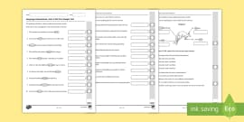 NAPLAN Style Language Conventions Year 3 Exam Questions Pack