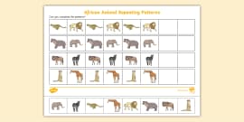 Patterns in Nature Activity | Animal Patterns | Twinkl