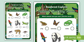 Rainforest Explorer Role Play Pack (teacher made) - Twinkl