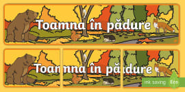 Ce este toamna? Teaching Wiki | Twinkl România - Twinkl