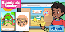 Grade 2 Phonics Mini Reader: oo Digraph
