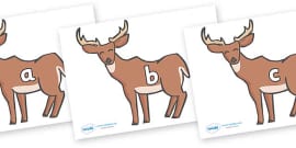 Phoneme Set on Deer (teacher made) - Twinkl