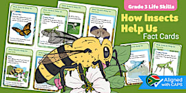 Gr3 Life Skills Term 2 How Insects Harm Us Fact Cards (CAPS)