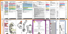 EYFS The Human Skeleton Adult Input Plan and Resource Pack