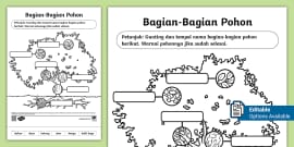 Poster Bagian-Bagian Pohon (teacher made) - Twinkl