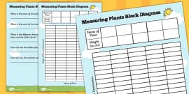 Measuring Plants Worksheet and Growth Pack | Twinkl Resource