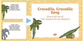 The Nile Crocodile PowerPoint (teacher made) - Twinkl