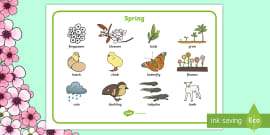 FREE! - Four Seasons Display Banner (All Seasons) - Seasons, season, autumn