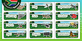 Space-Themed Months of the Year Display Banners - Twinkl