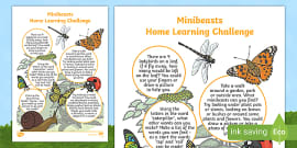 Minibeast Puzzles Writing Worksheet / Worksheet - World Around Us KS2