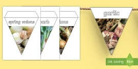 Flower Display Bunting (teacher made) - Twinkl