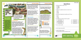 UKS2 All About Snakes Differentiated Reading Comprehension Activity