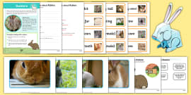 2D Shape Rabbit Cutting Skills Worksheets - Easter