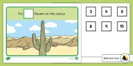 Desert Counting Clip Cards (teacher made) - Twinkl