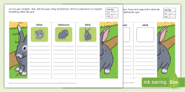 Stick Insect Folding Life Cycle Template (teacher made)