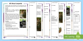 Leopards Differentiated Worksheet / Worksheets