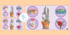 Tree Discussion Cards (teacher made) - Twinkl