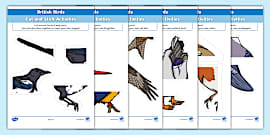 British Birds Scavenger Hunt Worksheet - Twinkl