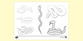 Computing Colouring Page, Computing Topic Page - Twinkl