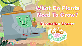 How Do We Use Plants? Mind Map