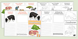 Fish Leaflet Template (teacher made) - Twinkl