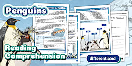 Penguins Reading Comprehension Interactive PDF