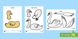 Split Pin Animals (teacher made)