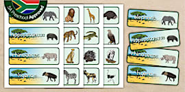 Grade R - Wild Animals -Matching Cards:South African Mammals