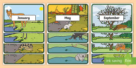 Australian Animals Numbers 1-20 Display Posters - Twinkl