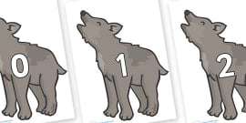 Numbers 0-31 on Wolf (teacher made) - Twinkl