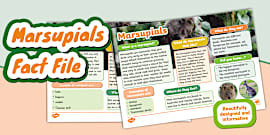 Marsupial Fact Cards - KS2 - Animals - Science
