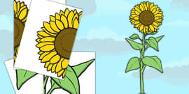 👉 Large Tree Cut-Out Template (teacher made) - Twinkl