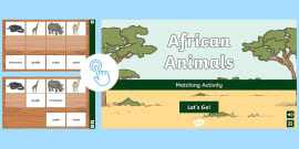 What are African animals? - Answered - Twinkl Teaching Wiki