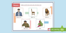 Older Learners Determiner Display Poster - Twinkl - Adult