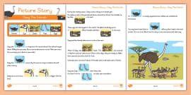 Ostrich Fact File (teacher made) - Twinkl