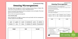Microorganisms Worksheet - Primary Resources