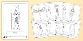 Ancient Egyptian Diary Entry Template (Teacher-Made)