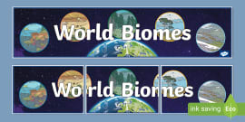 Biomes Display Pack KS2 (Teacher-Made) - Twinkl