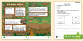 KS1 Snakes Fact File Template (teacher made) - Twinkl